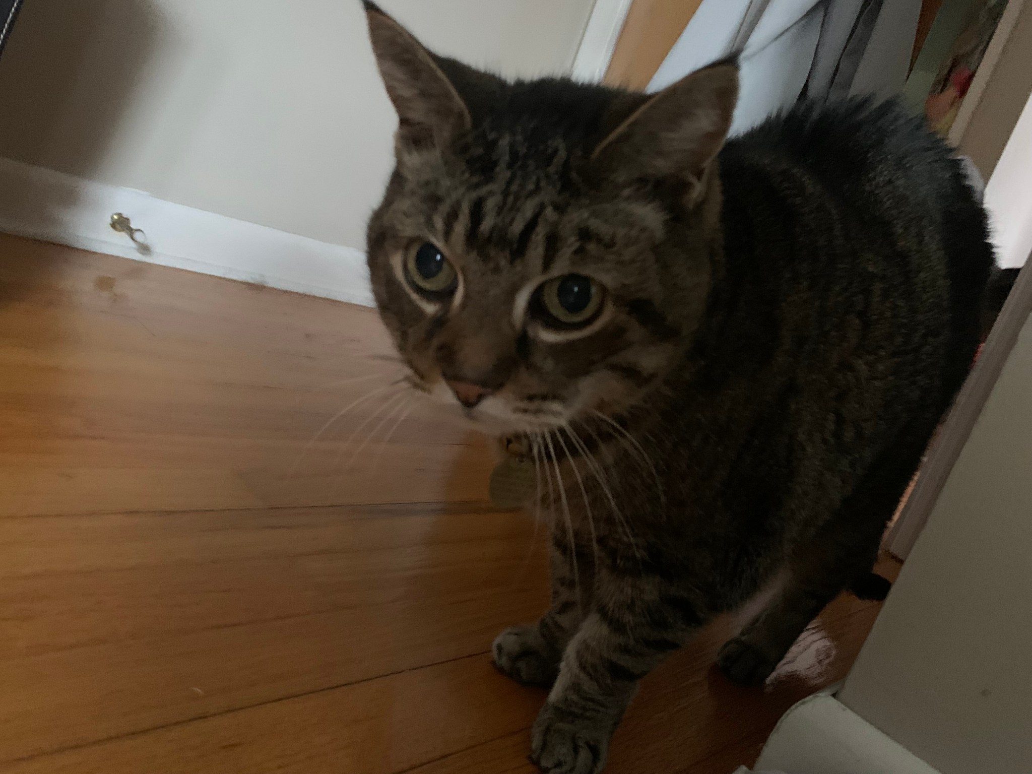 The Dorky Daddy – Misadventures in Parenthood